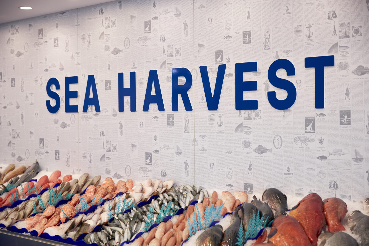 About - Sea Harvest