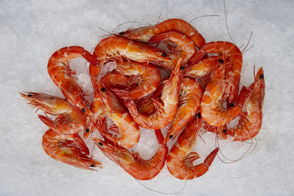 Prawns Archives - Sea Harvest