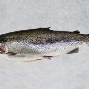 Whole Fish Archives | Sea Harvest